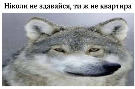 Alina Taranenko On Linkedin Friday Joke Life Mood Work Deadline Project