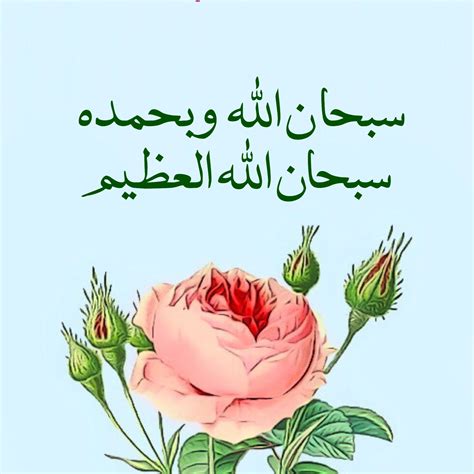 سبحان الله وبحمده سبحان الله العظيم Good Morning Flowers Rose Good