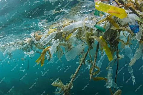 Premium Photo Microplastics Pollution In Aquatic Habitats