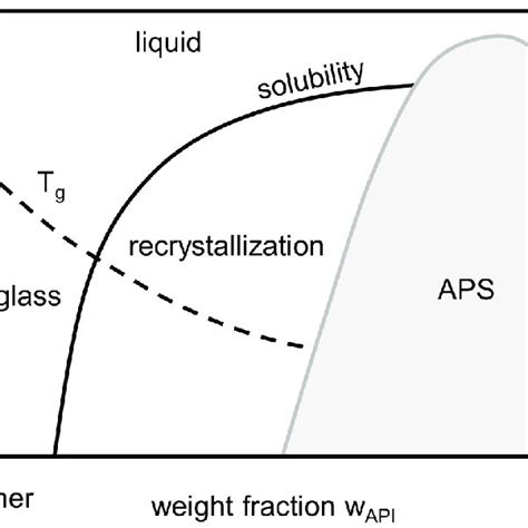 Schematic Phase Diagram Of A Api Polymer Formulation With Solubility Download Scientific