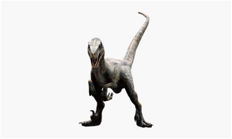 Velociraptor Echo Jurassic Park Raptor Png Pngrow My Xxx Hot Girl