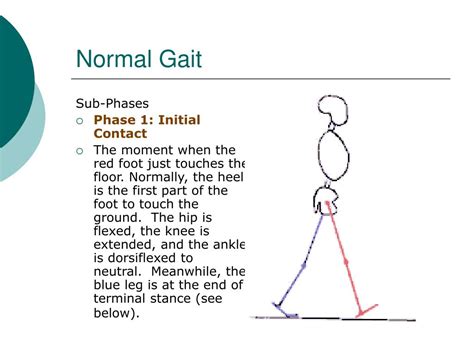 Ppt Gait Analysis Powerpoint Presentation Free Download Id1394120