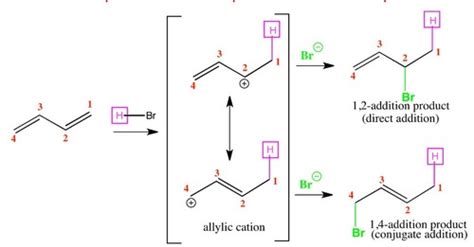 Electrophilic Addition To Conjugated Diene Systems Flashcards Quizlet
