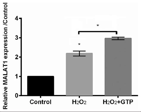 Green Tea Polyphenols Gtps Upregulated Metastasis Associated Lung