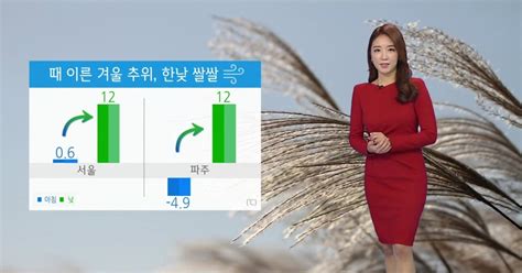 날씨 때 이른 겨울 추위한낮에도 쌀쌀