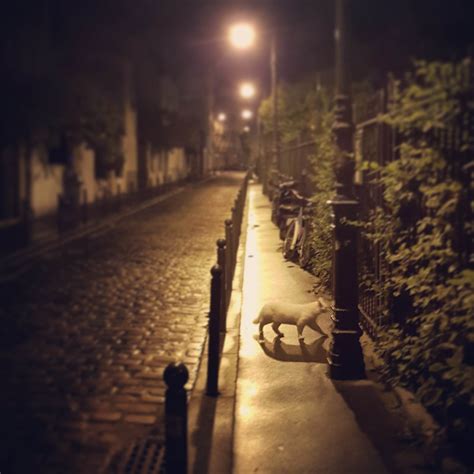 Le Baiser De La Nuit Les Etoiles Noires Recueil De Po Sie