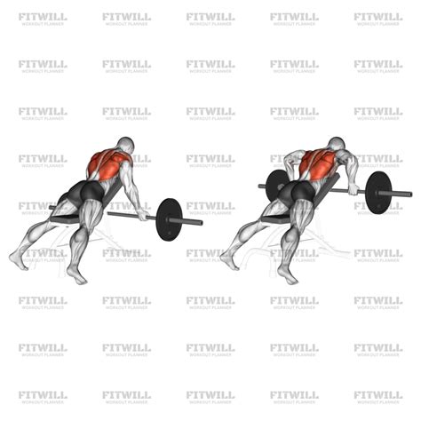 Barbell Reverse Grip Incline Bench Row Exercise Guide Video