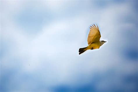 วิธีย้ายวัตถุในภาพด้วย Photoshop Cs6 เว็บบอร์ด Php เว็บส่งเสริมการเรียนรู้ Hosting Crm Erp