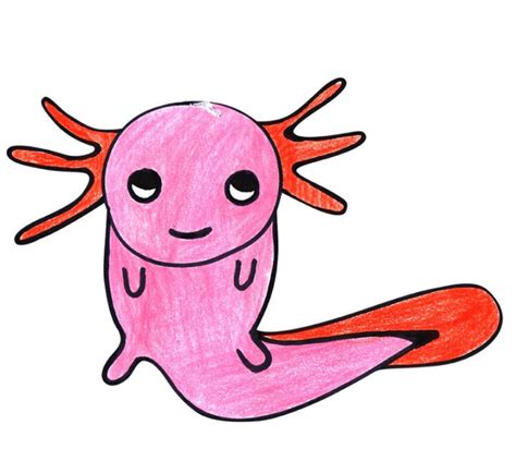 15 Cute Axolotl Drawing Ideas How To Draw An Axolotl Blitsy