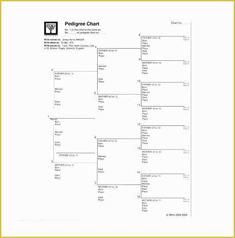 Free Tree Map Templates Of Family Tree Template Family Tree Template Bank Home Com