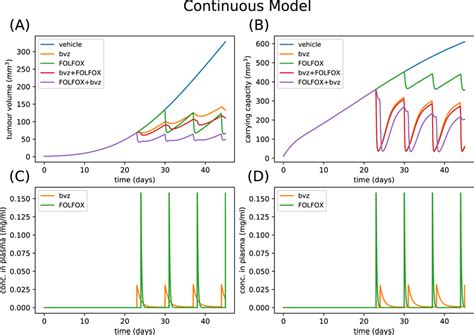 Example Numerical Simulation Of Computational Vascular Tumour Growth