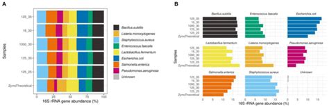 Reducing Bias In Microbiome Research Comparing Methods From Sample Collection To Sequencing Pmc