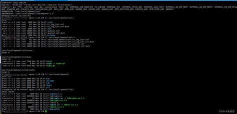 nginx 安全漏洞（cve 2022 3638）处理 csdn博客