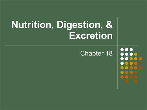 Chapter Nutrition Digestion Excretion PPT Digestive Disorders Diseases And Conditions