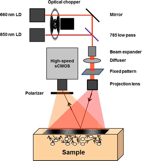 Schematic Of Dual Wavelength Csfdi Light From Two Coherent Light