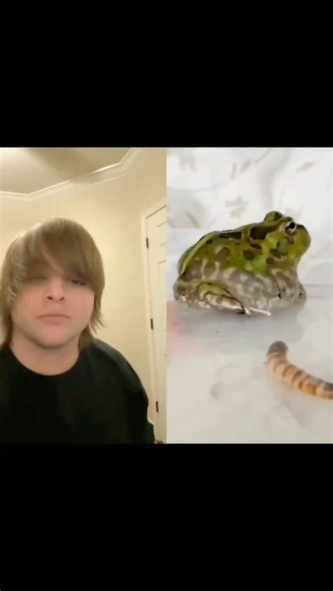 Memes Real String Theory Is A Theoretical Framework In Physics That Aims To Reconcile General