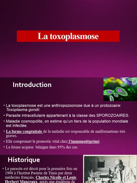 5 La Toxoplasmose Pdf Immunodéficience Immunologie