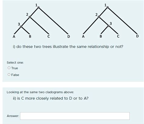 Solved I Do These Two Trees Illustrate The Same Chegg Com