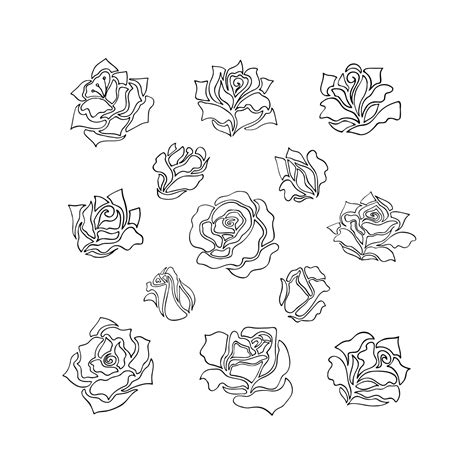Simple Modern Abstract Rose Flower Shapes Unique Hand Drawn Nature Beauty Eco Design Elements