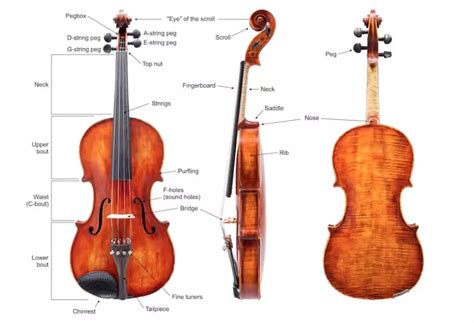 The Essential Violin Types Guide What Are The Different Types