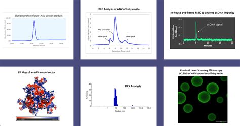 Aav Gene Therapy Downstream Bioprocessing The Cramer Research Lab