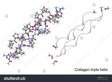 Collagen Triple Helix Molecule Different Visualizations Stock