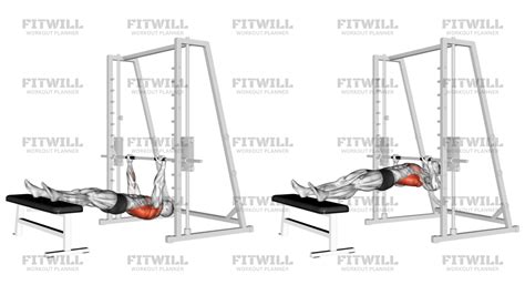 Inverted Row On Bench Exercise Guide Techniques Benefits How To Muscles Worked Tips