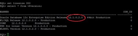 7 Ways To Check Your Oracle Version How Database Vrogue