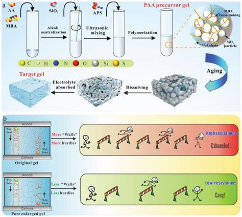 schematic diagram of a the preparation process of modified paa gel
