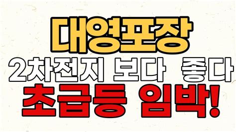 제지관련주 대영포장 주가전망 대영포장태림포장무림pandp대영포장주가전망대영포장전망대영포장주가 Youtube