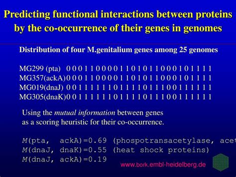 Ppt Comparative Genome Analysis Powerpoint Presentation Free