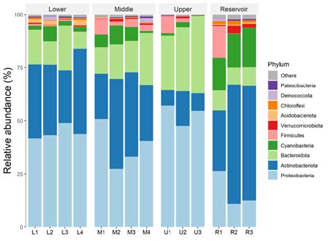 The Relative Abundance Of Dominant Bacterial Phyla Top 10 In The Download Scientific Diagram