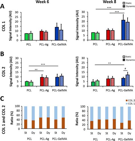 quantitative analysis of the immunofluorescence images using imagej download scientific diagram