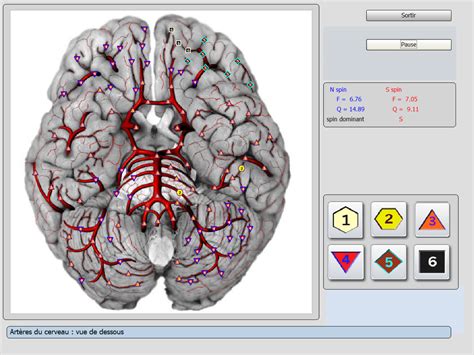 Biorésonance Et Analyse Nls