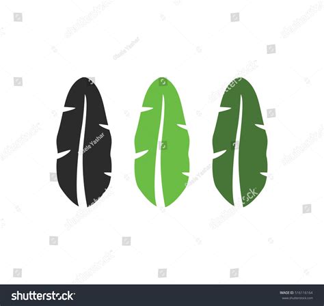 Banana Leaf Vector Leaf Icon Palm Stock Vector Royalty Free 516116164