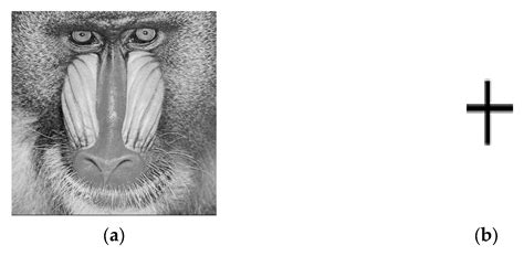 Image Watermarking Scheme Using Lsb And Image Gradient