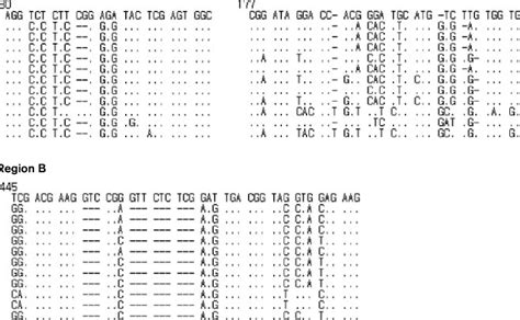 Alignments Of The Hypervariable Regions A And B Of The 16s Rrna Gene