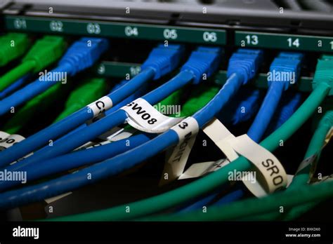 Ethernet Cables Connected To A Switch Stock Photo Alamy