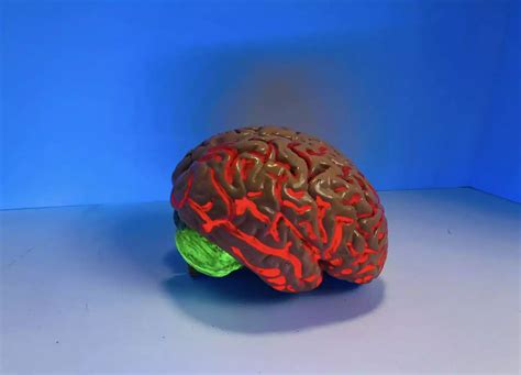 Can Porn Use Affect Memory And Concentration