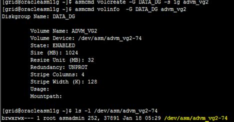 Oracle Home Asm Cluster File System Acfs
