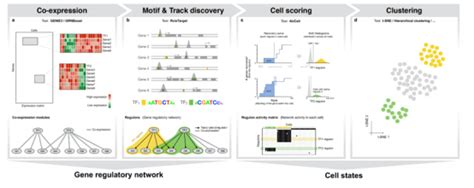 百篇文献汇总精华！单细胞高级分析（四） 上海生物芯片有限公司