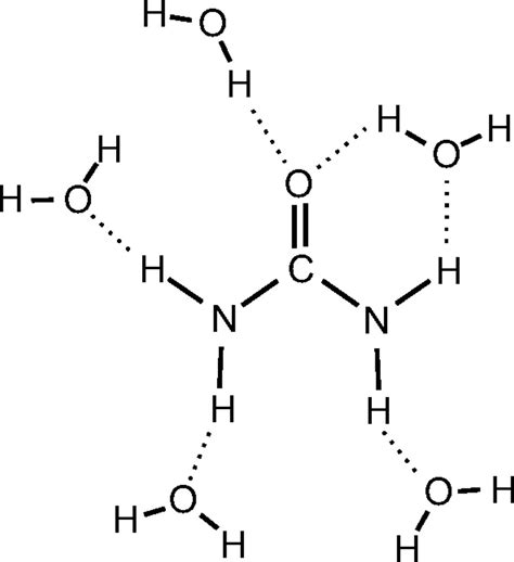 Urea Lewis Structure