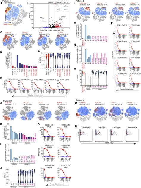 A Phenotypic Signature That Identifies Neoantigen Reactive T Cells In Fresh Human Lung Cancers