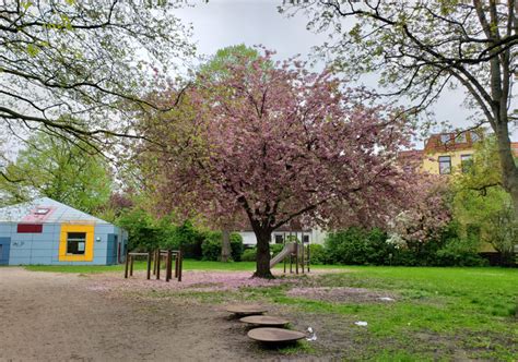 激活函数sigmoid、tanh求导过程 知乎