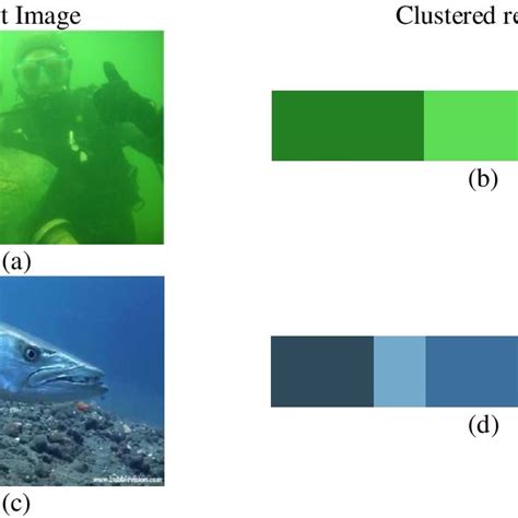 K Means Clustering For Getting Dominant Colors Download Scientific