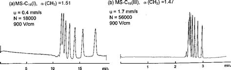 Figure 1 From Capillary Electrochromatography On Monolithic Silica
