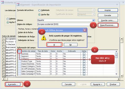 Nube de datos Importar una especificación de importación exportación en Ms Access dos métodos