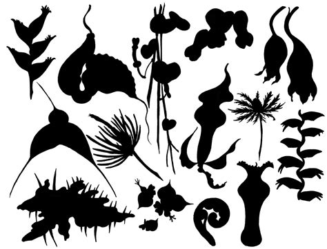 Red Ink Images Behance