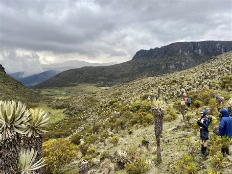 Trekking In Los Nevados National Park Colombia 5 Lost Together