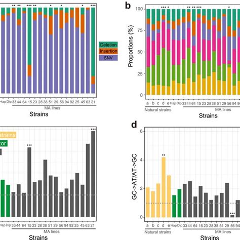 Molecular Spectra Of Mutations In 16 Ma Lines And 5 Natural Yeast